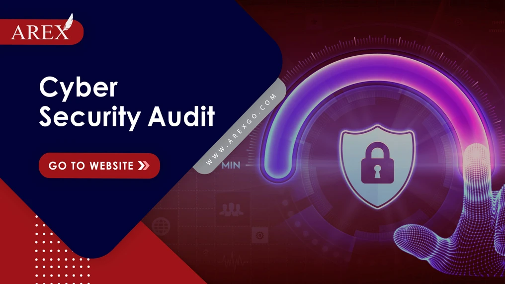Cyber Security Audit & Maturity Assessment in 2025 | Arex